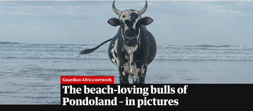 The Eternal River – Tradition & Modernity Collide in South West Africa ...